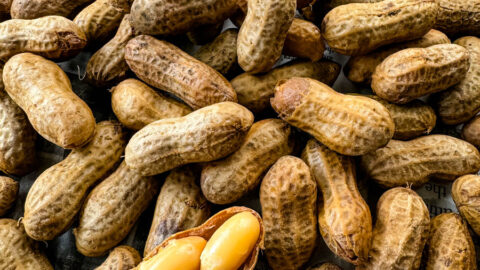 Southern Style Soul Food Recipes Archives - Stay Snatched