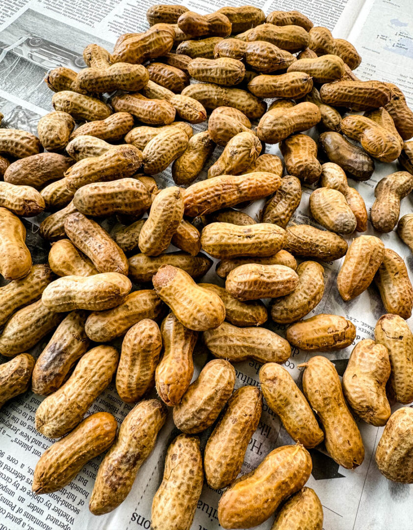 Cajun Boiled Peanuts