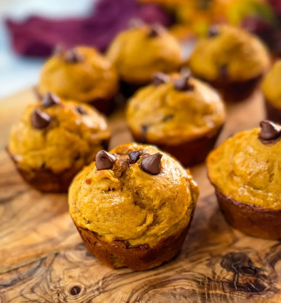 Pumpkin Protein Muffins